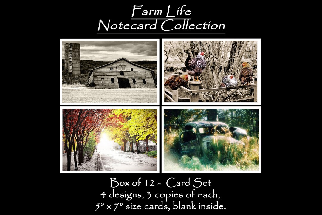 Notecard Set/12 - Etsy