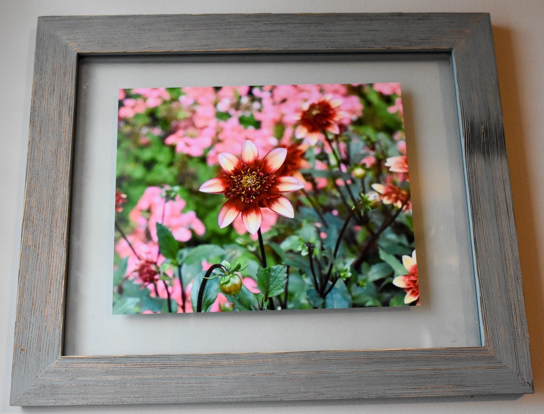Flower Photo Print Nature Print Garden Print Home Wall - Etsy