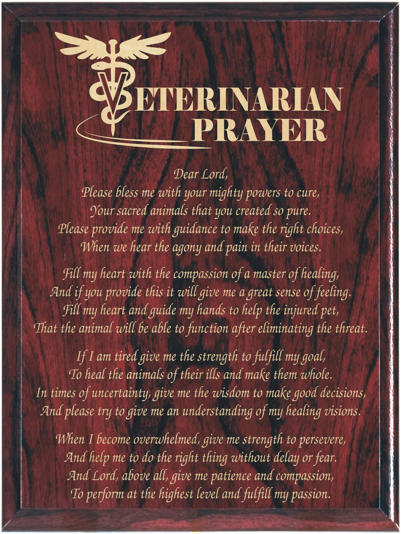 Veterinarian Prayer Plaque Personalized Poem Engraved Vet Tech Doctor ...