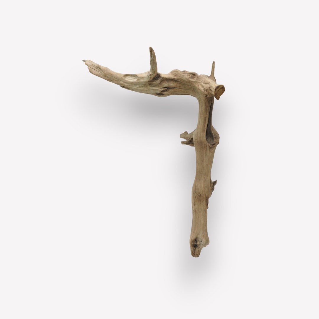 Natural Driftwood Tree Root Wood Object for Wall or Lighting - Etsy