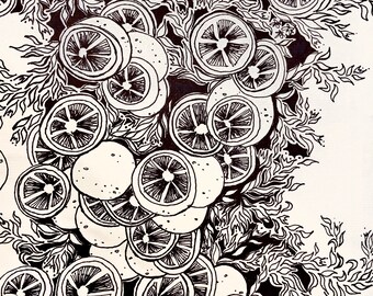 Citrus Fruit Stencil - Etsy