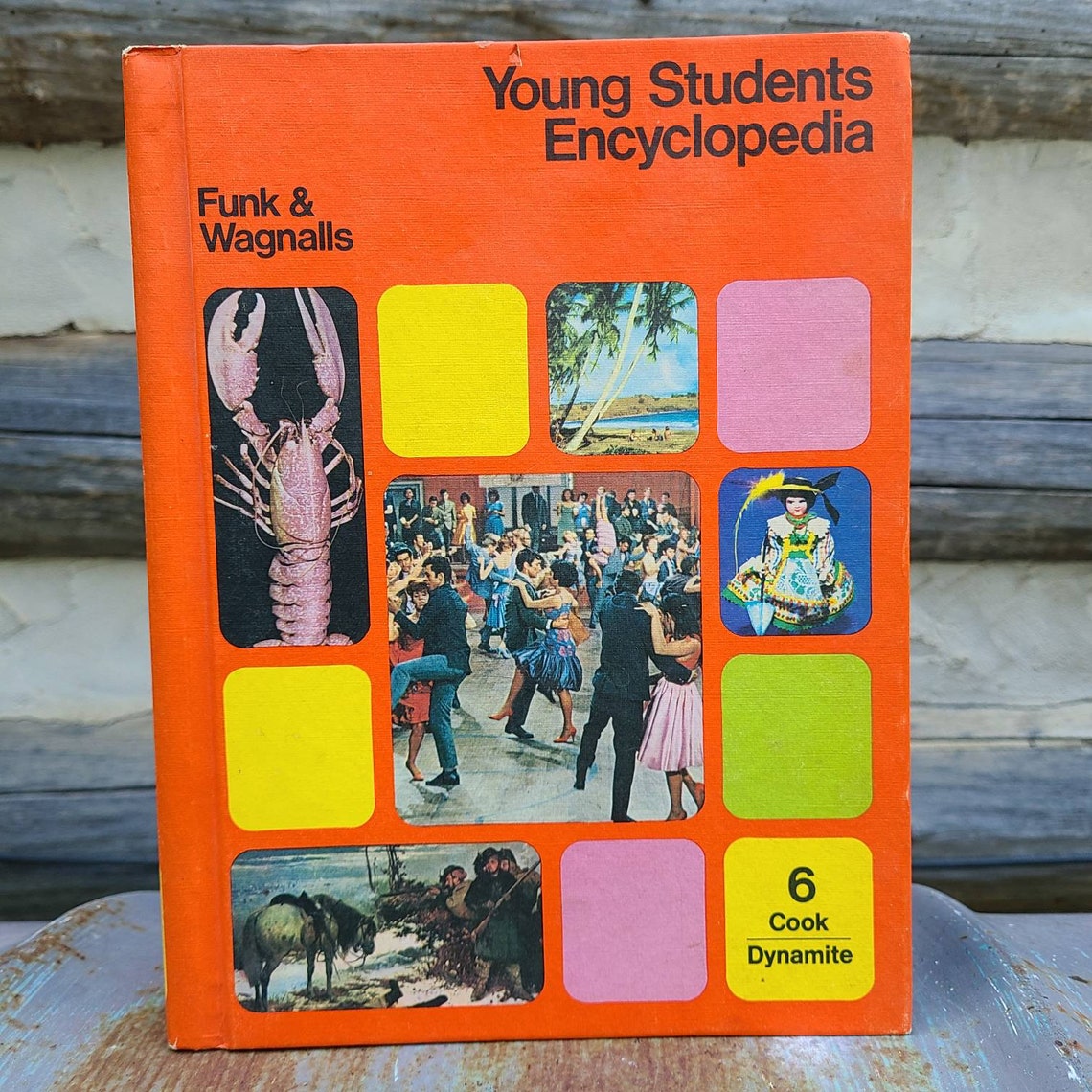 Young Students Encyclopedia/volume 6/illustrated/vintage - Etsy
