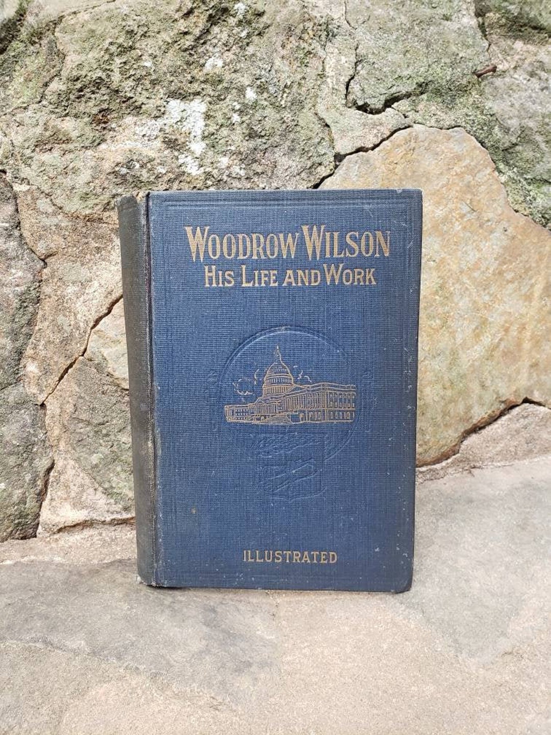 1919/woodrow Wilson His Life at Work/antique American History Books/wwi ...