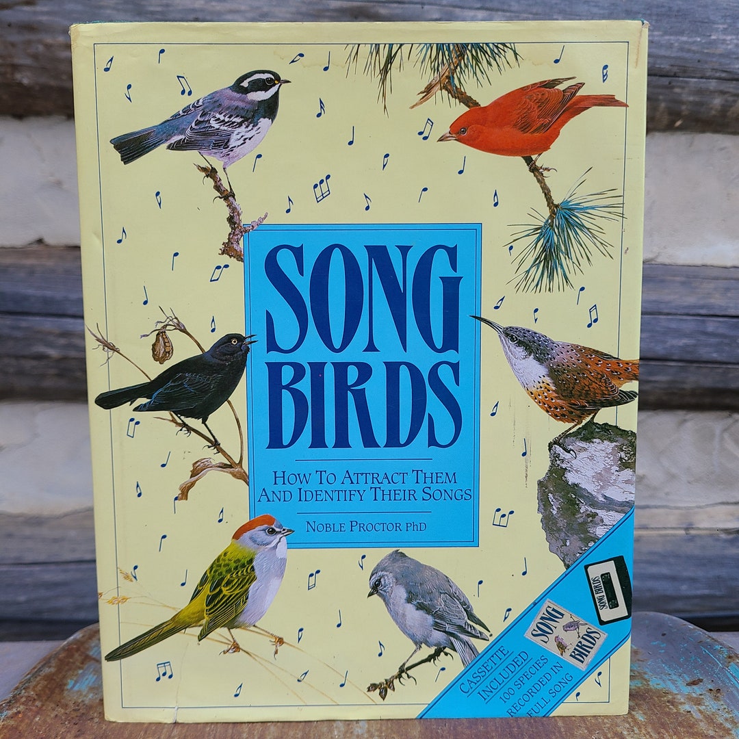 Song Birds - How to Attract Them and Identify Their Songs, Noble ...