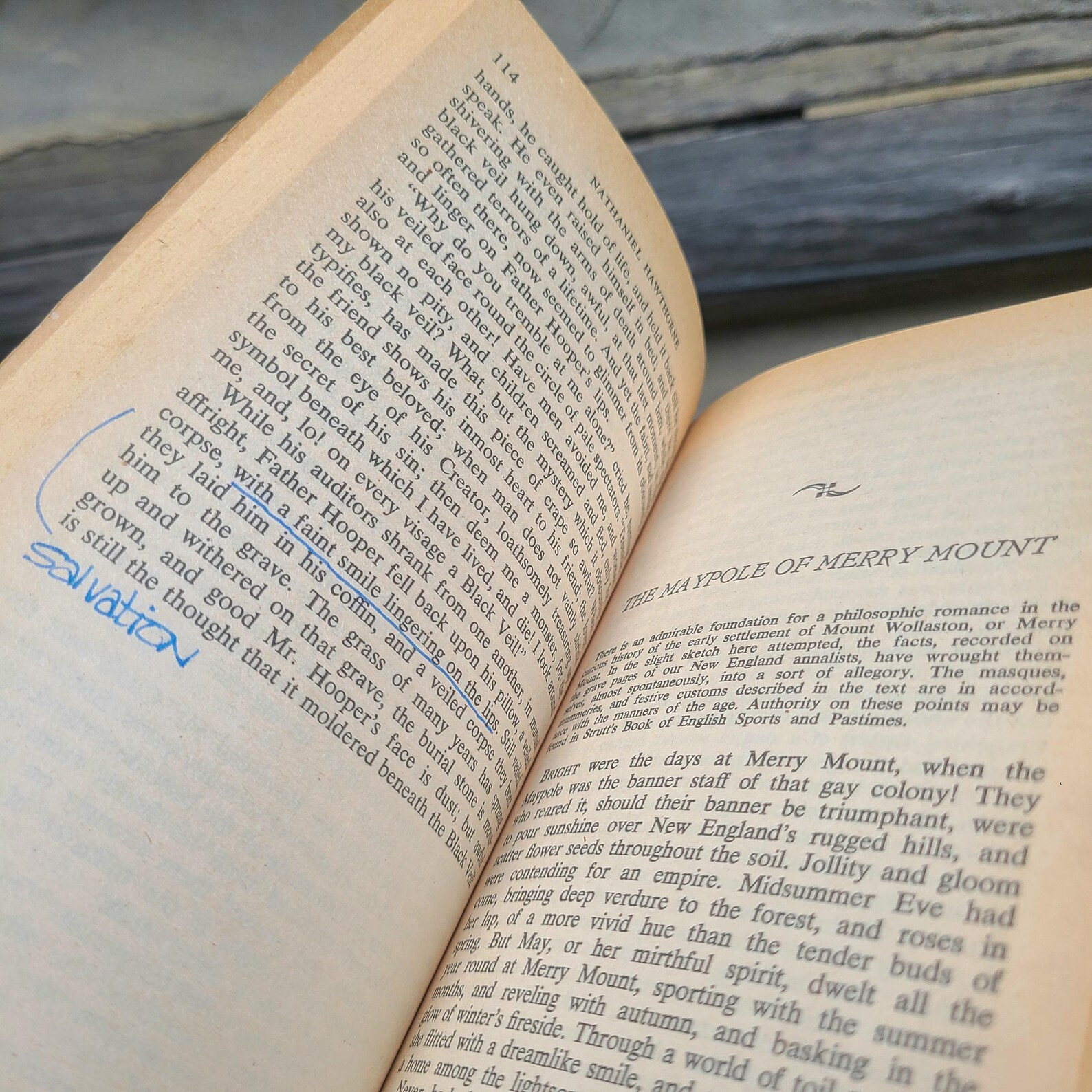 Nathaniel Hawthorne/the Celestial Railroad/short Stories/collection ...