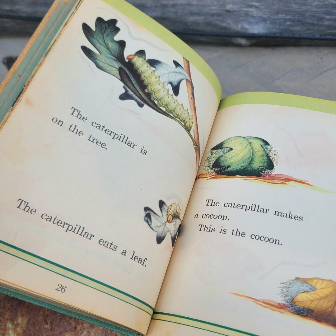Vintage Childrens Science Book/1930s/sunshine and Rain/how and Why ...