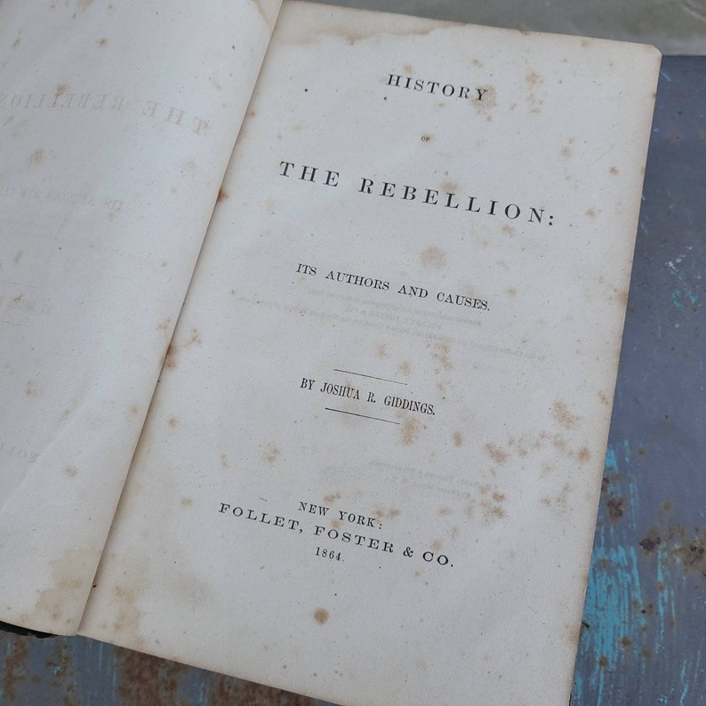 1864/history of the Irish Rebellion/history of the | Etsy