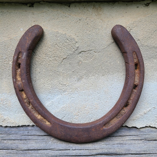 Real Horseshoe - Etsy