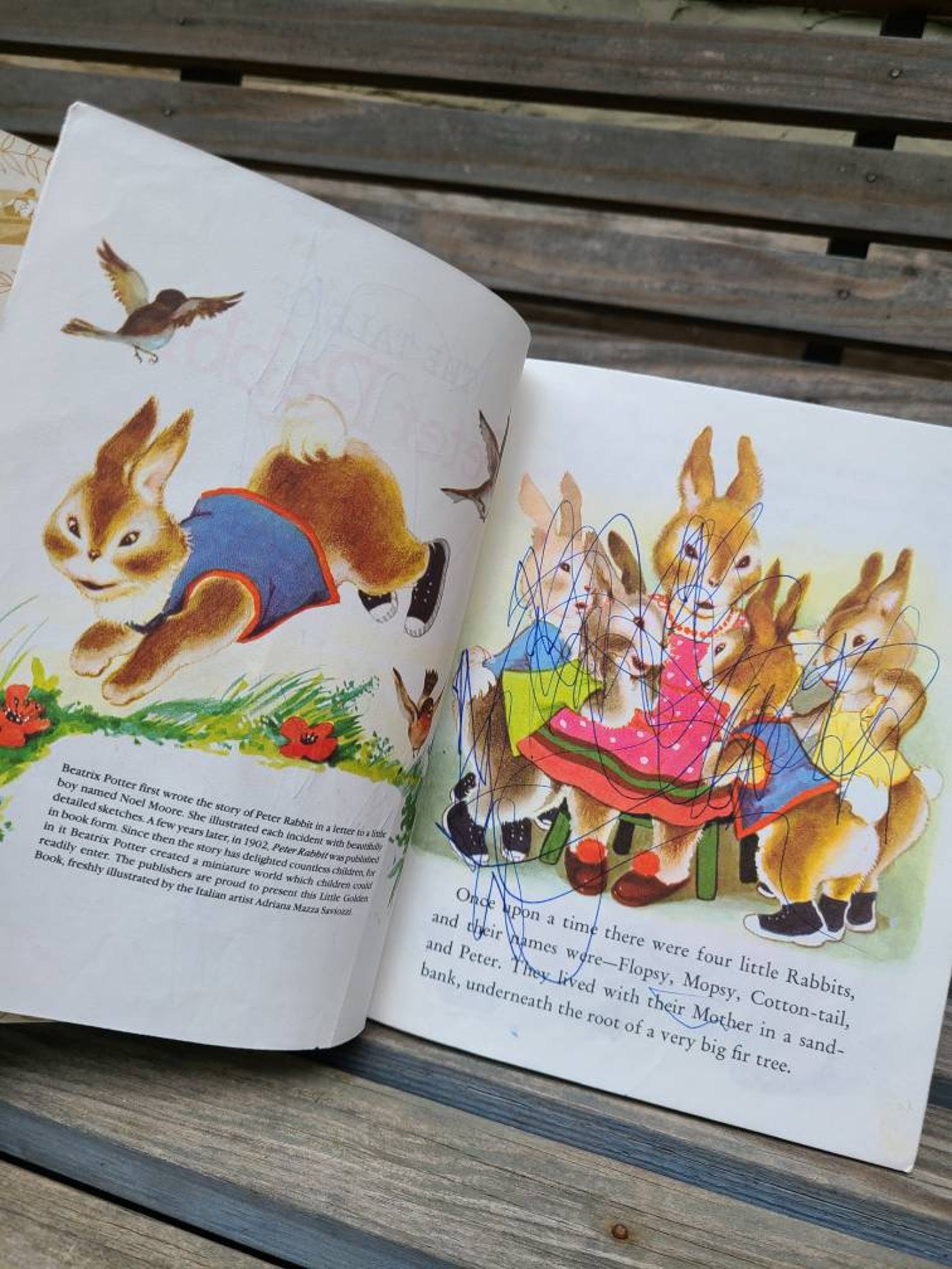 Tale of Peter Rabbit/little Golden Book/vintage Childrens - Etsy