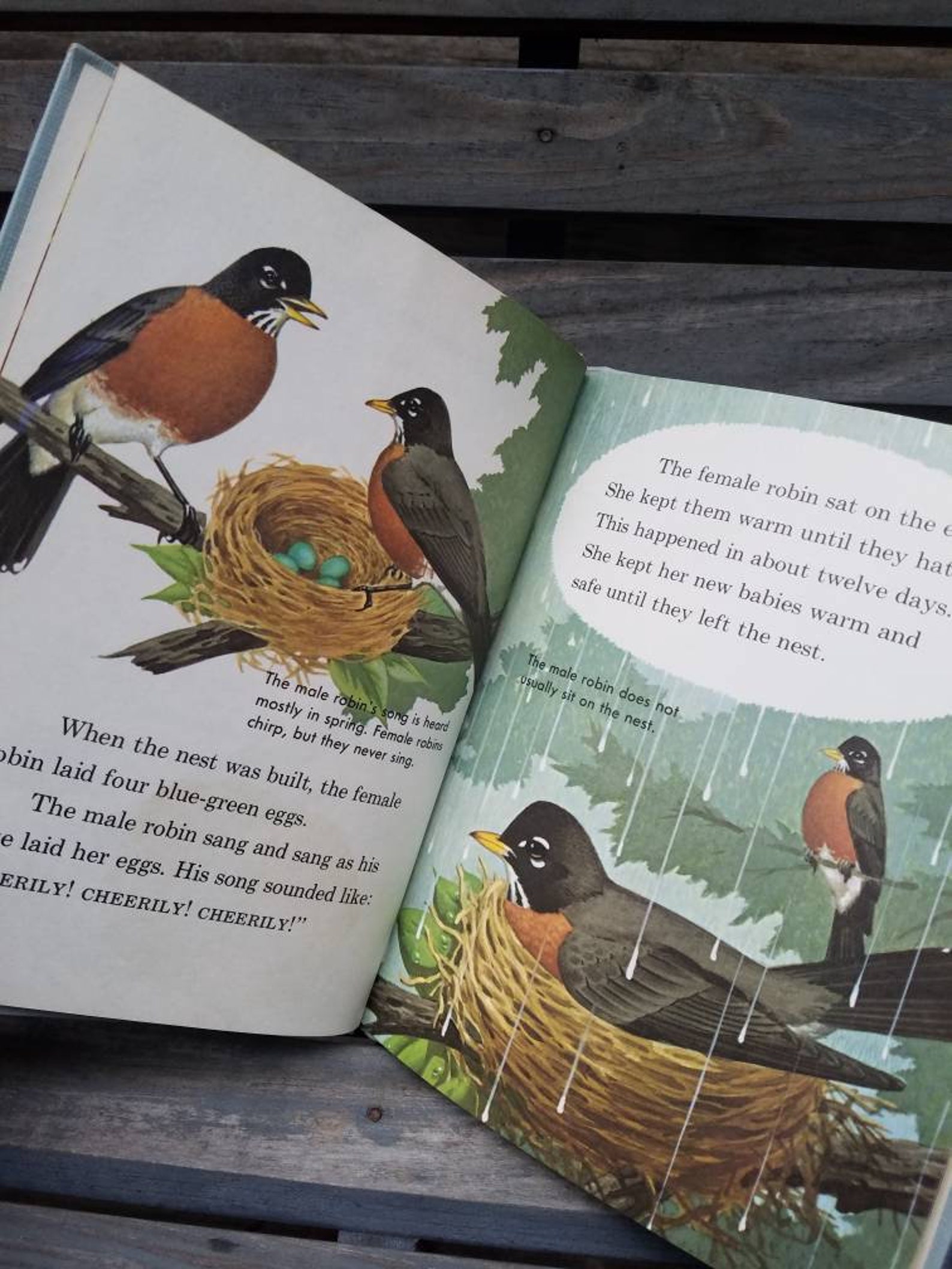 Robins/edwin A Mason/illustrated/bird Books/first - Etsy