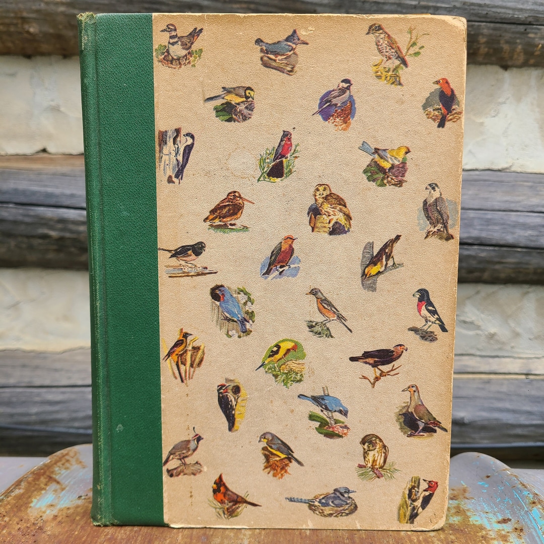 1948/birding Book/american Birds in Color/land Birds/1940s Vintage ...