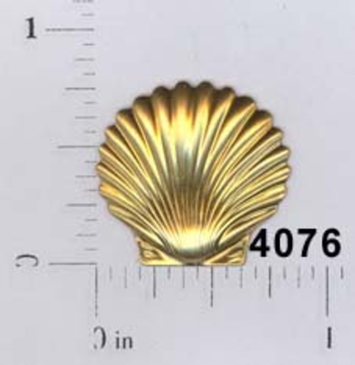 12 Pcs Scallop Shell Raw Brass Seashell Fancy Ornate Shell - Etsy