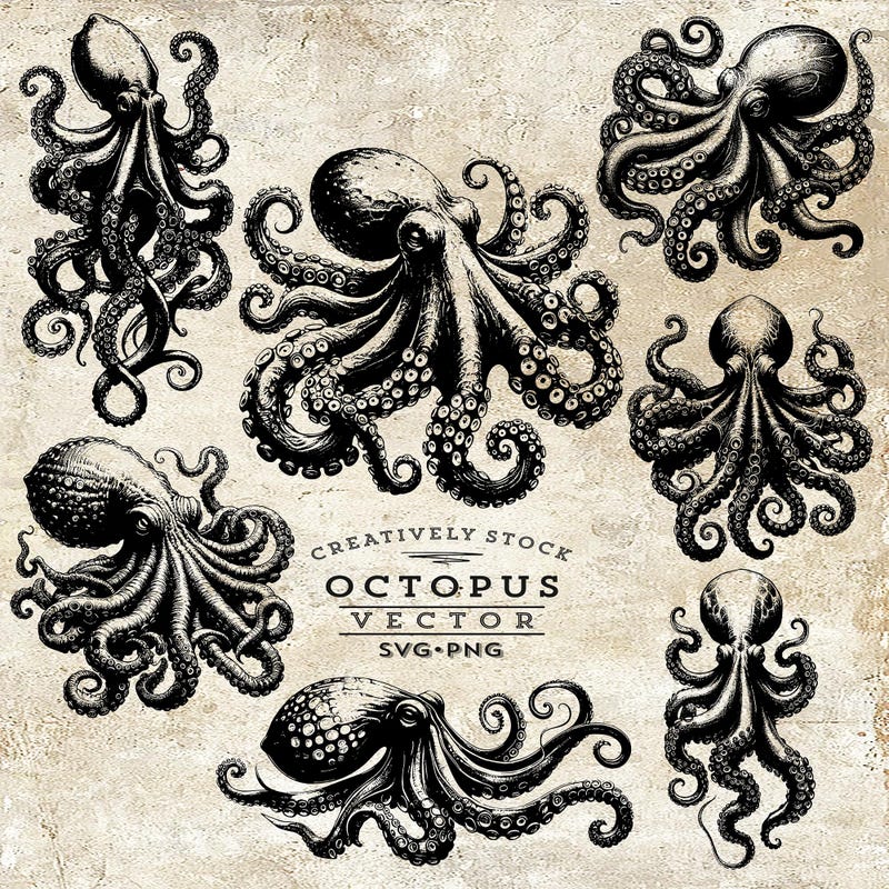 Octopus Line Drawing Svg - Etsy