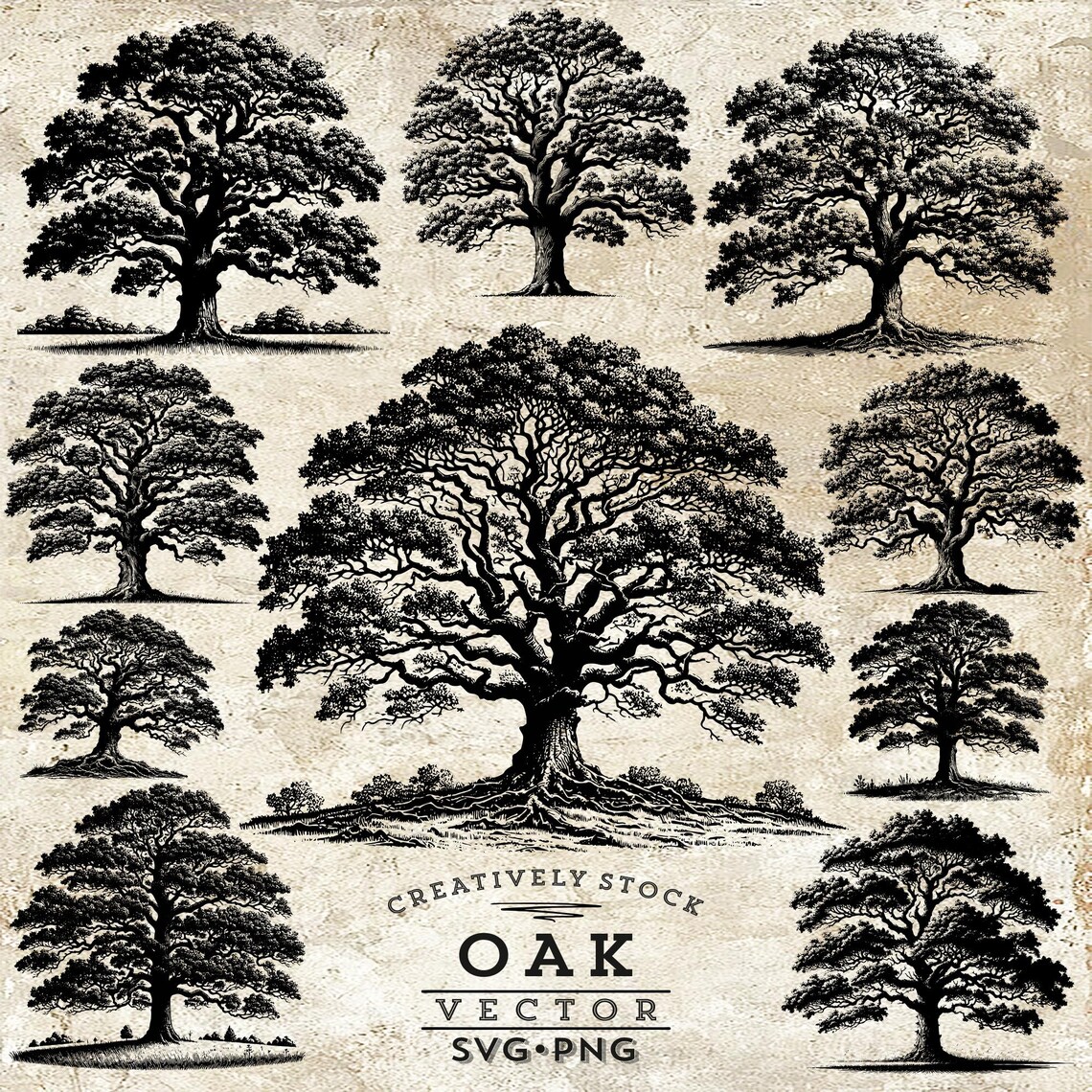Oak Tree Svg PNG, Trees Svg, Oak Svg Png, Leaf, Tree, SVG, Oak Tree ...