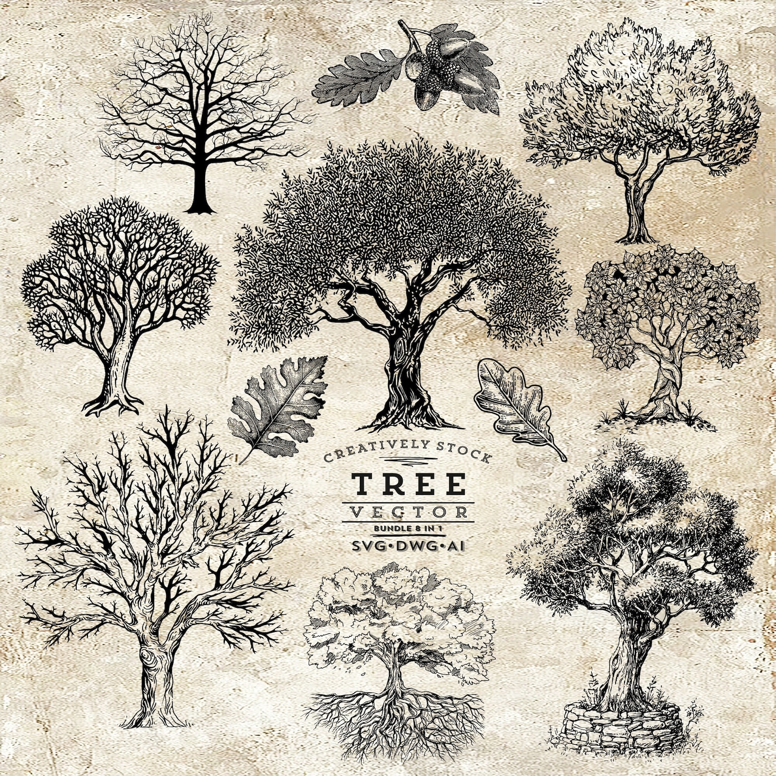 Trees Svg Leaf Tree SVG Oak Svg Oak Tree Svg Oak Tree - Etsy