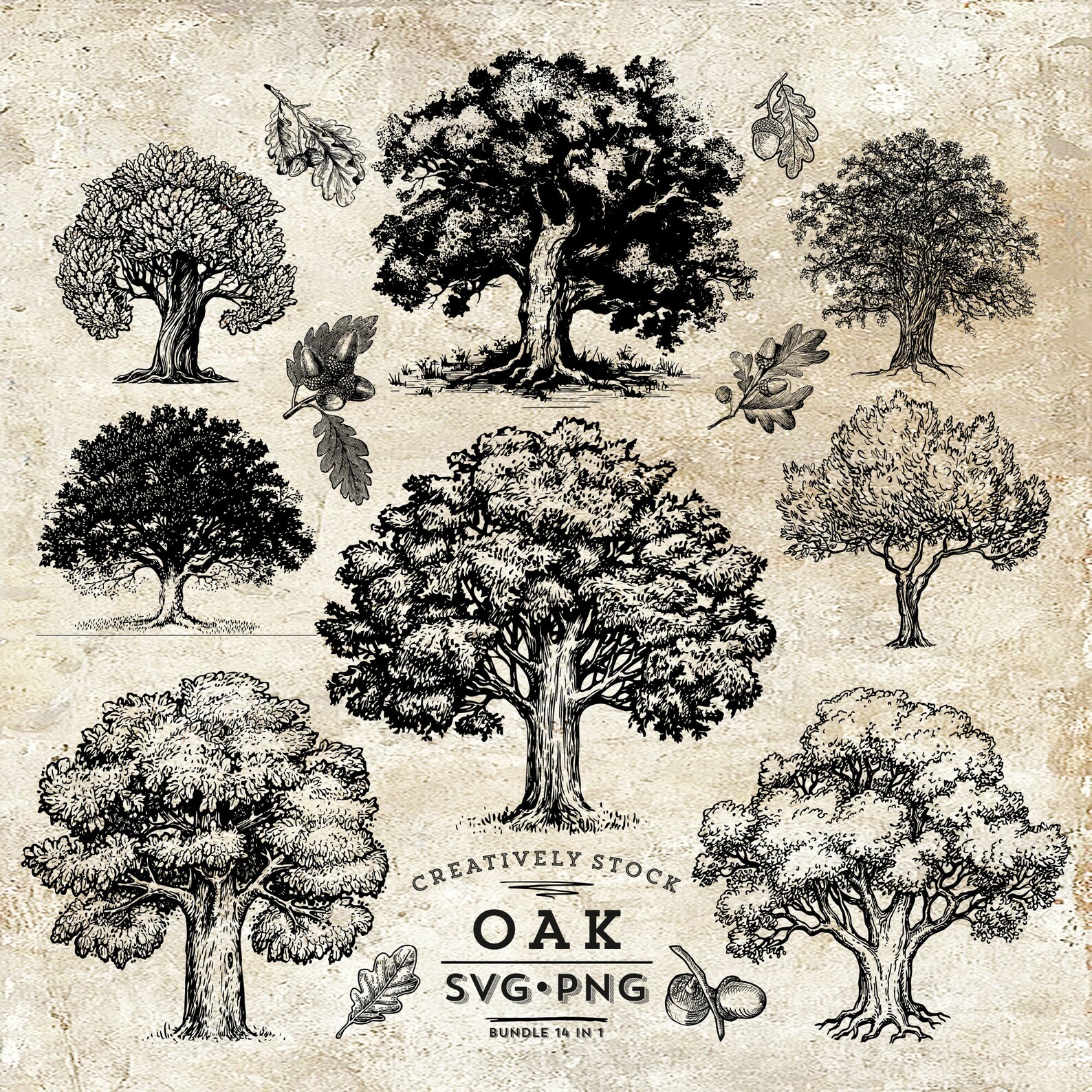 Oak Tree Svg PNG, Trees Svg, Oak Svg Png, Leaf, Tree, SVG, Oak Tree ...