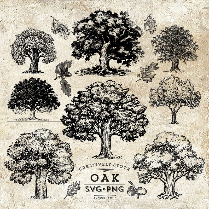 Oak Tree Svg - Etsy