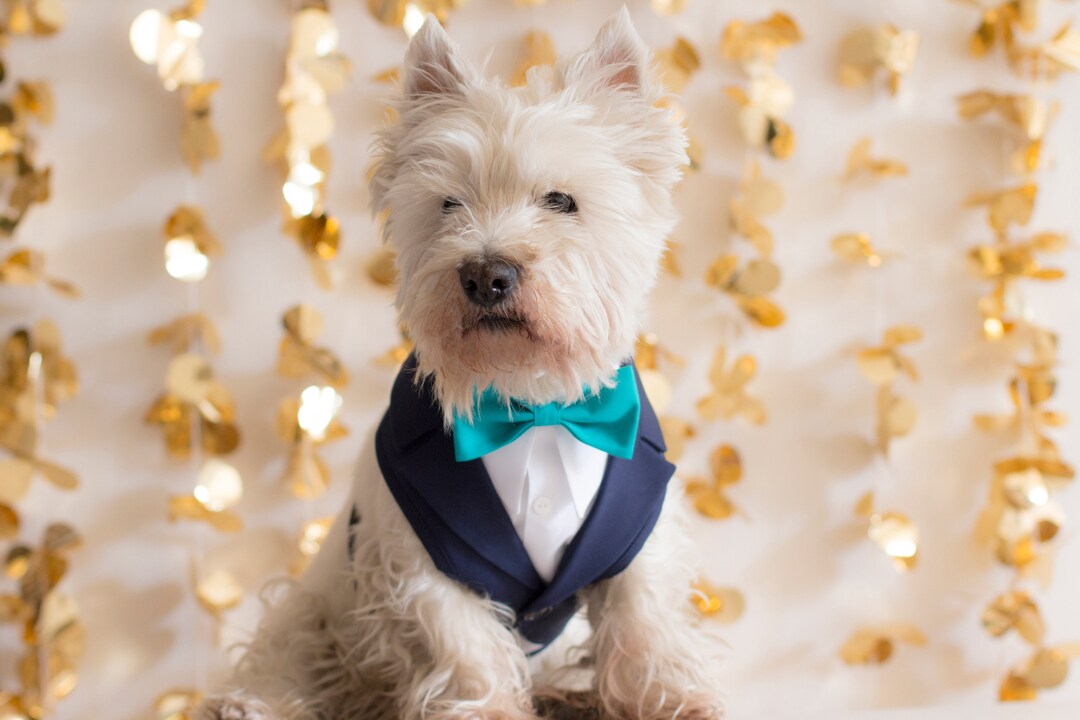 Navy Blue Dog Tuxedo, Dog Wedding Suit Harness, Formal Dog Tuxedo ...