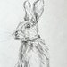 Original Pencil Drawing of Bunny, Fine Art, Bunny Print, Minimalist ...