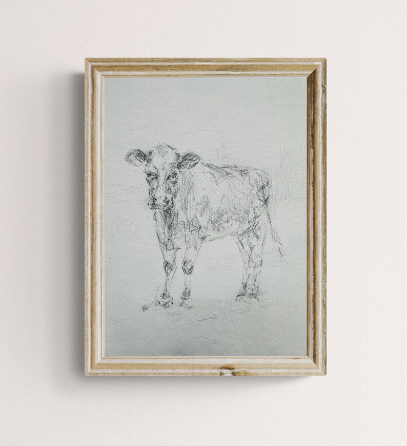 Original Cow Pencil Drawing, Fine Art, Cow Print, Minimalist Wall Art ...