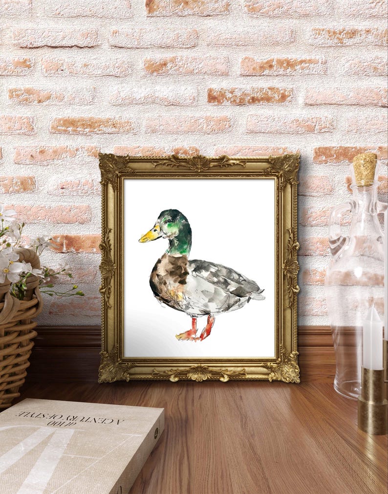 Original MALLARD DUCK Digital Print - Etsy