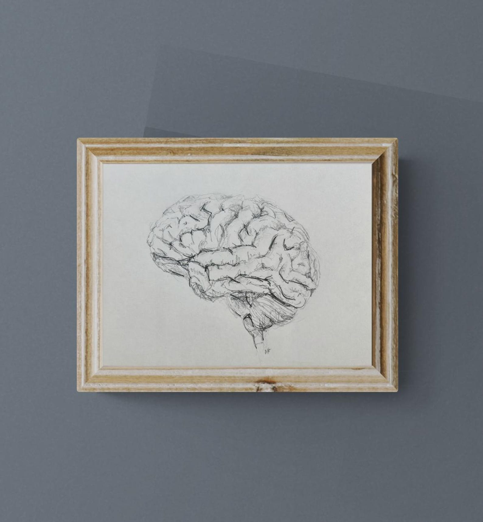 Original Brain Pencil Drawing, Fine Art, Medical Art, Brain Sketch ...