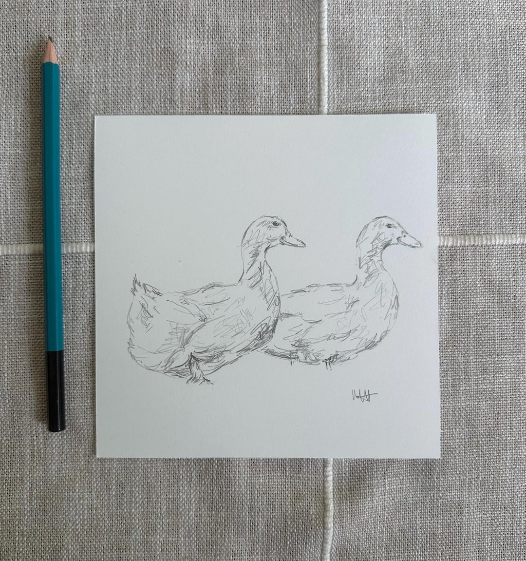 Original Farm Ducks Pencil Drawing: Vintage Wildlife Art (6x6 Inch) - Etsy