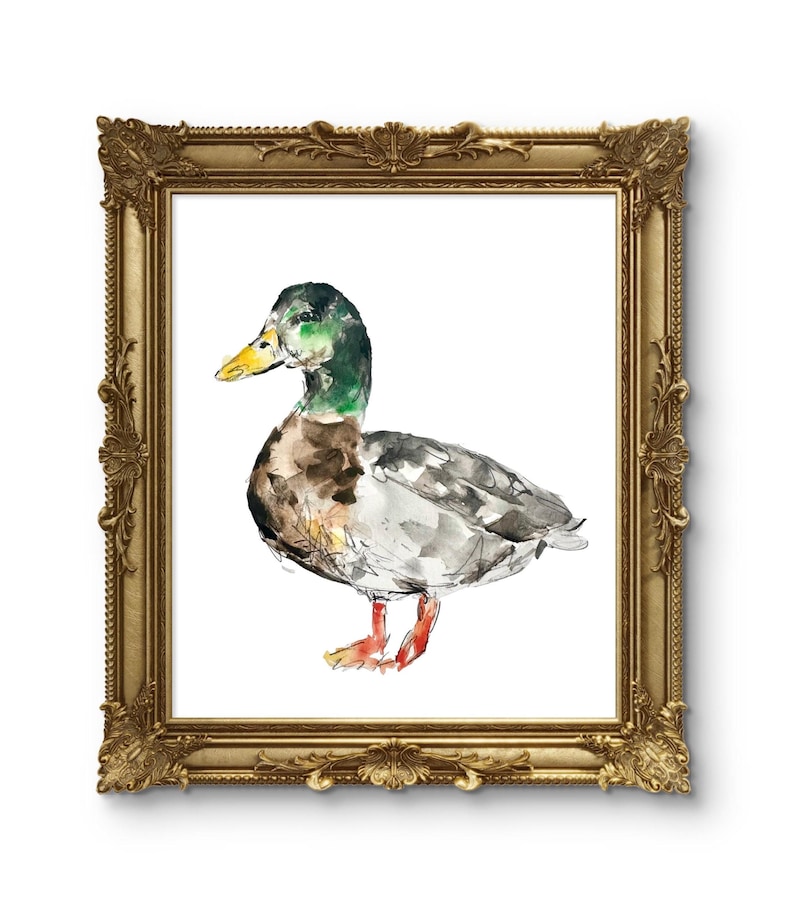 Original MALLARD DUCK Digital Print - Etsy