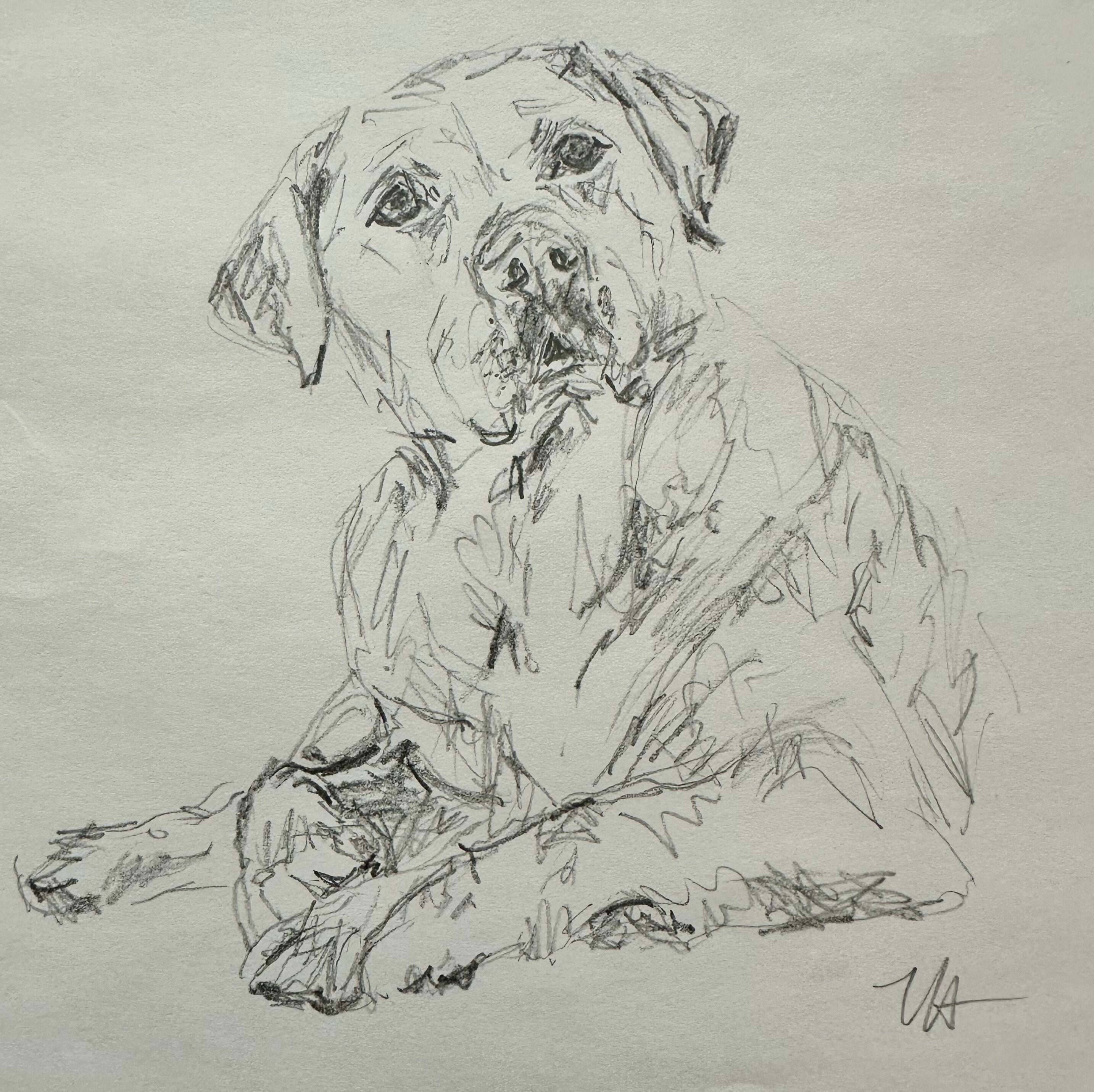 Original Pencil Drawing of Dog, Vintage Art, Minimalist Art, Dog Print ...