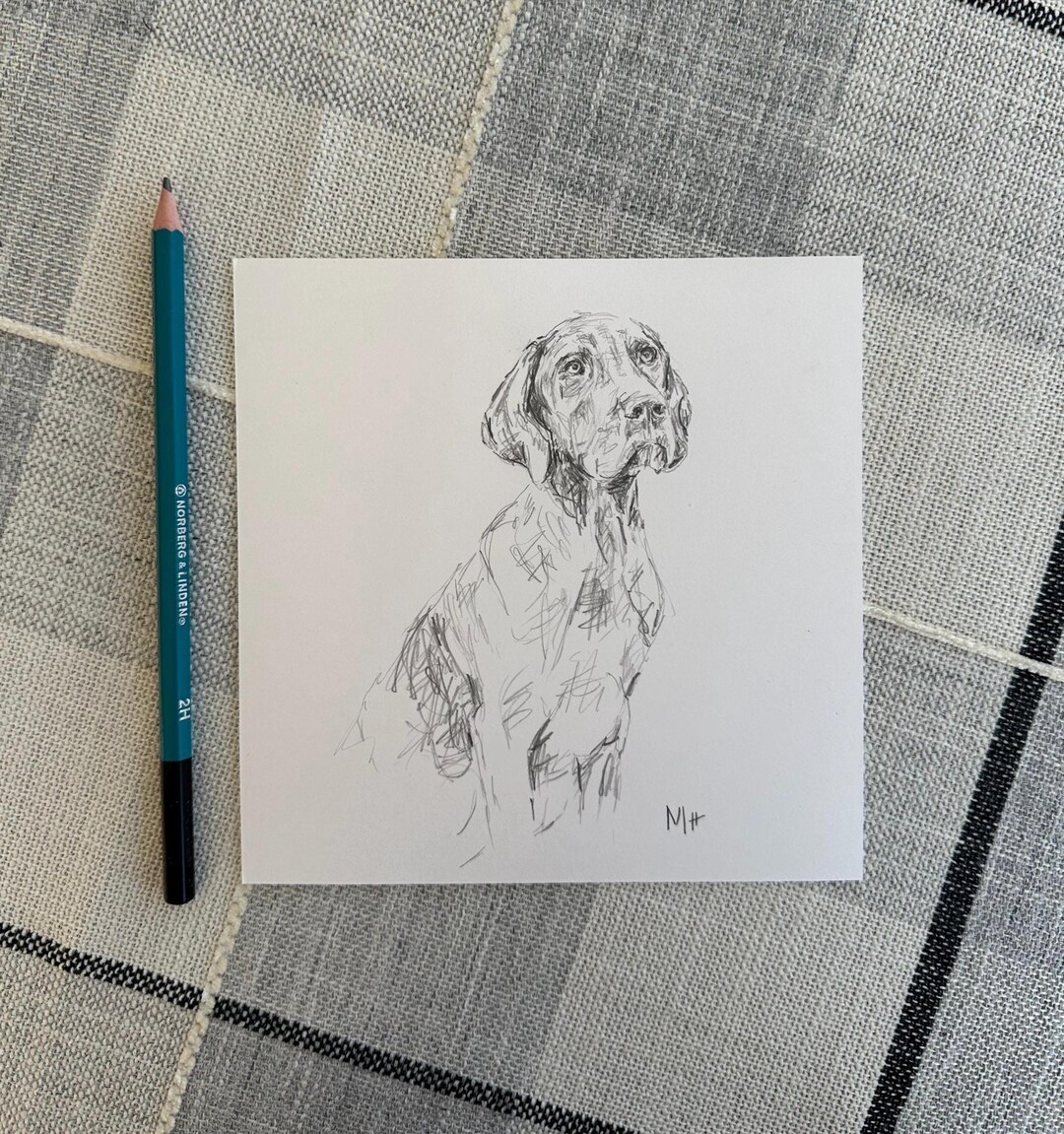 Original HUNTING DOG Drawing, Fine Art, Vintage, Wildlife Art, 6x6 Inch ...