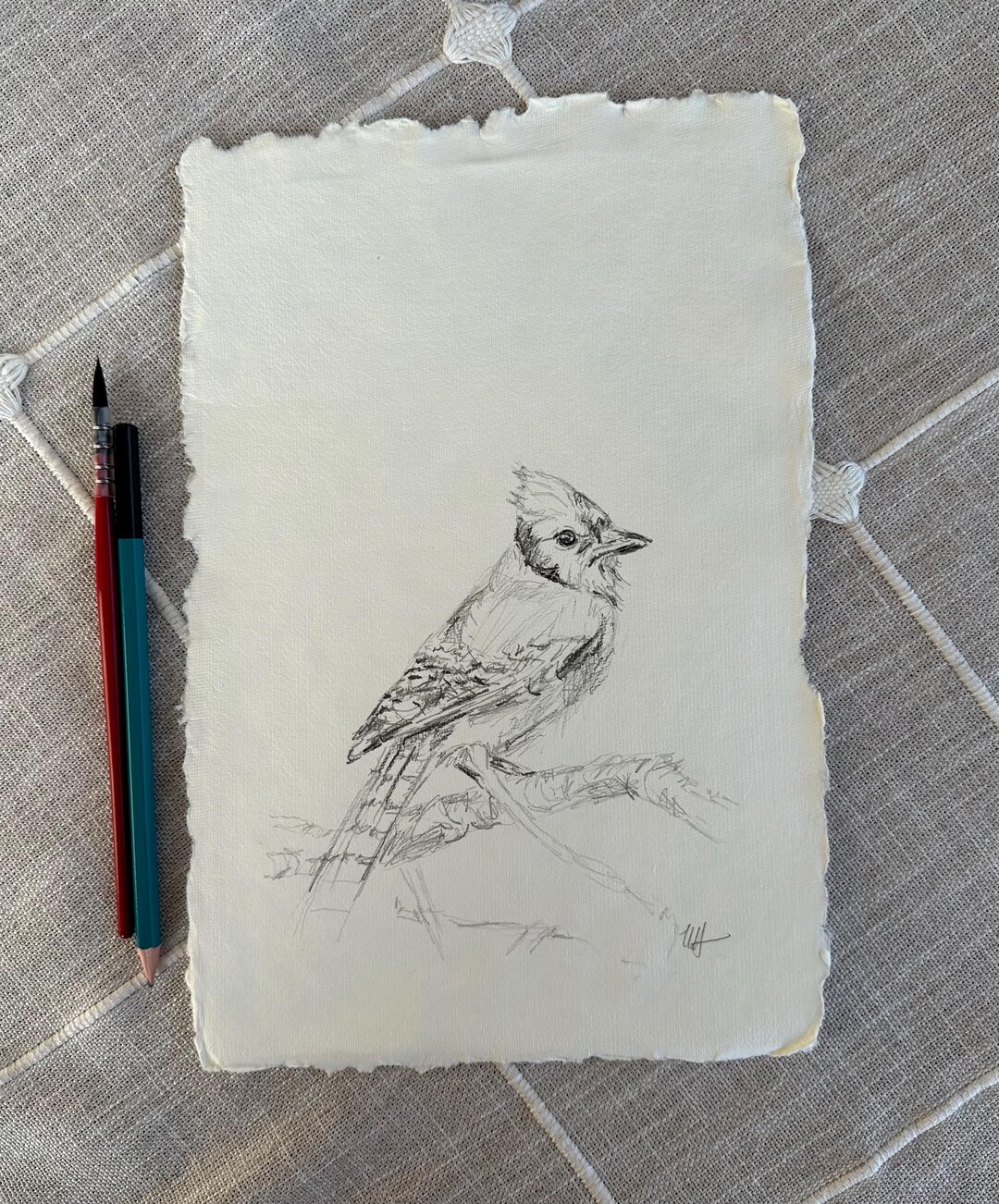 Original BLUE JAY BIRD Drawing, Fine Art, Wildlife Art - Etsy