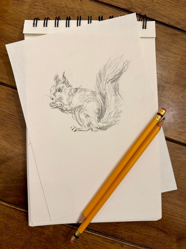 Original Pencil Drawing of Squirrel, Fine Art, Digital Download - Etsy