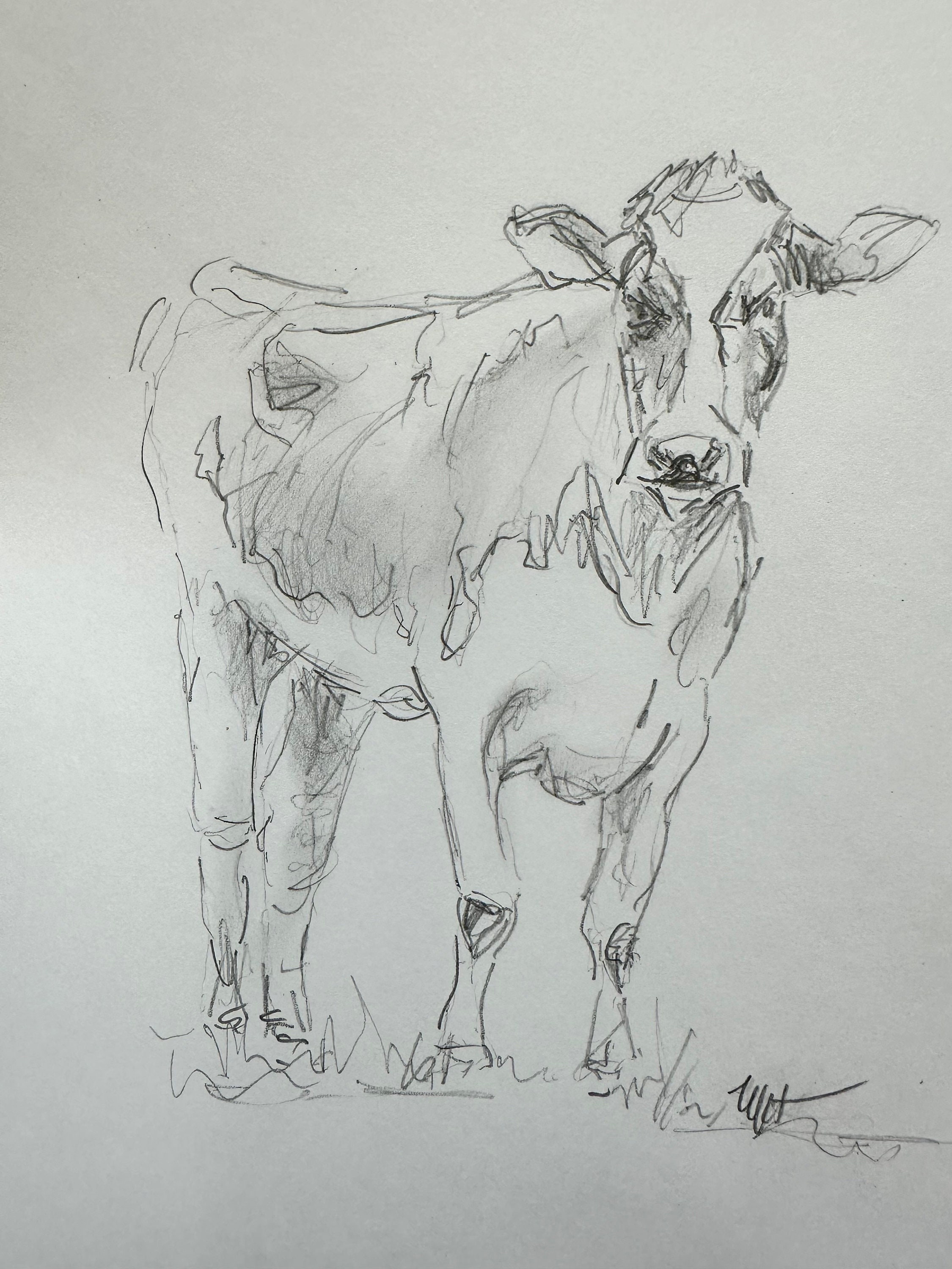 Original Pencil Drawing of Cow, Fine Art, Cow Print, Minimalist Wall ...