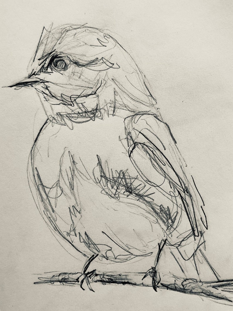 Original Bird Pencil Drawing, Fine Art, Bird Print, Minimalist Wall Art ...