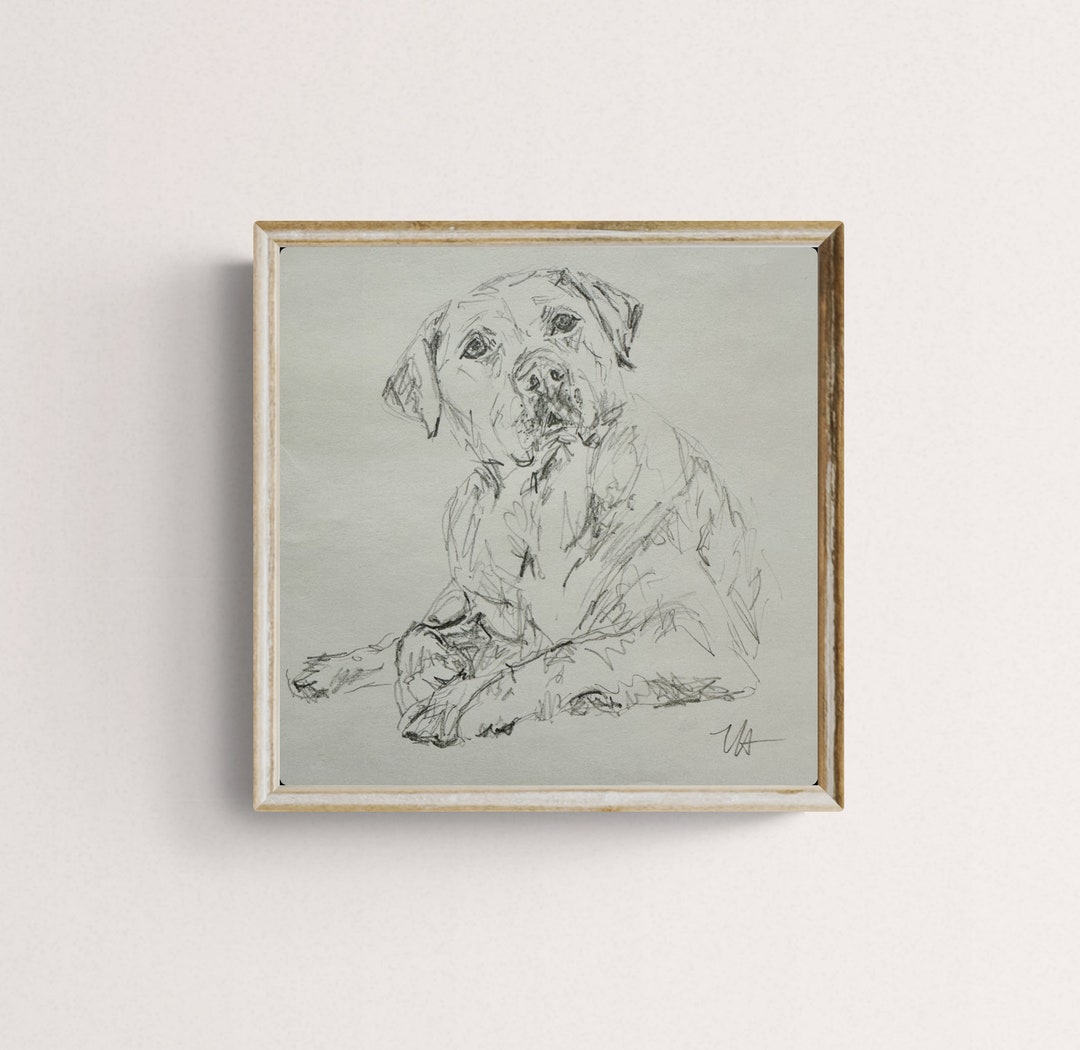Original Pencil Drawing of Dog, Vintage Art, Minimalist Art, Dog Print ...