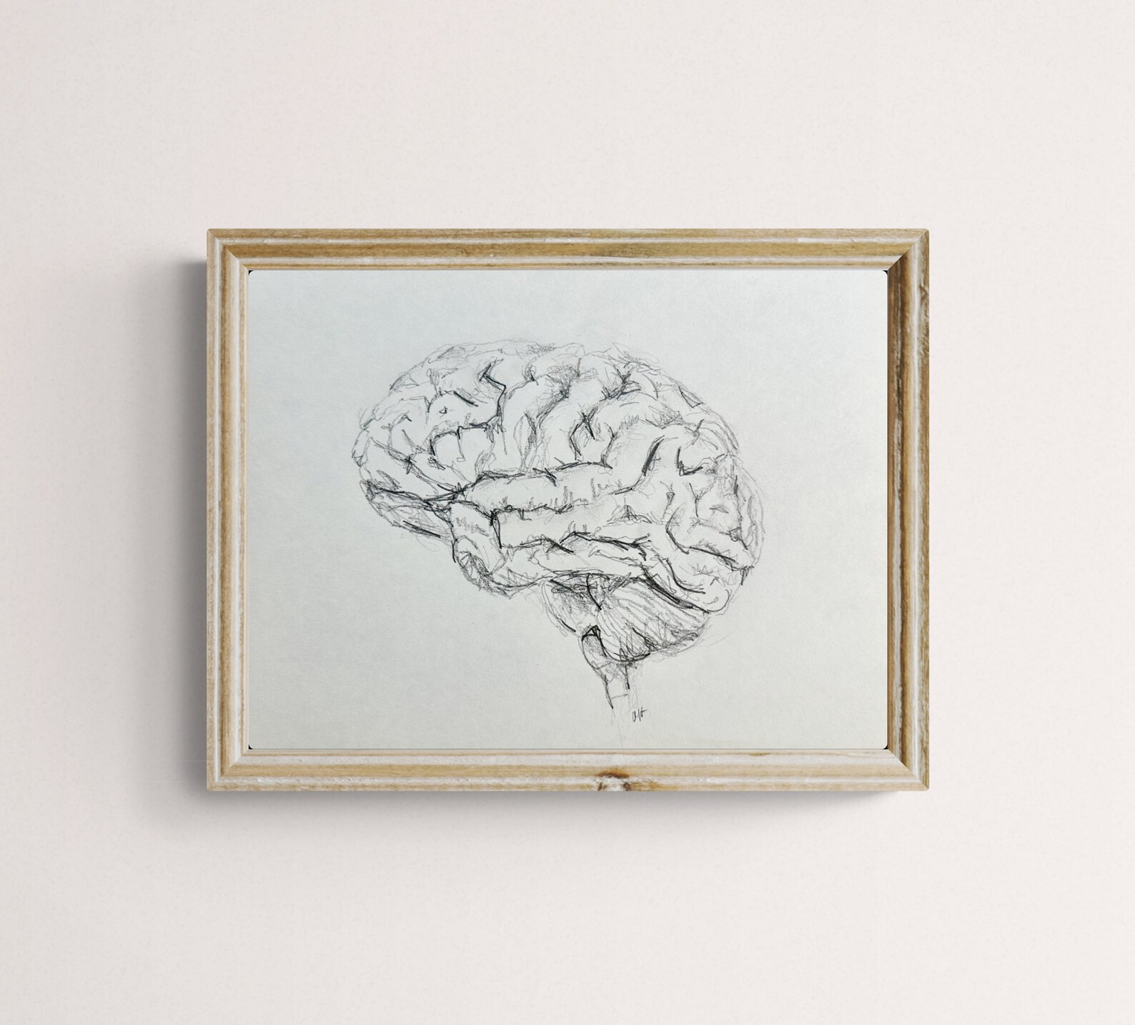 Original Brain Pencil Drawing, Fine Art, Medical Art, Brain Sketch ...