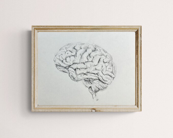 Original Brain Pencil Drawing, Fine Art, Medical Art, Brain Sketch ...