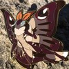 Cecropia Moth Enamel Pin - Etsy