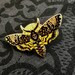 Death Head Moth Enamel Pin - Etsy