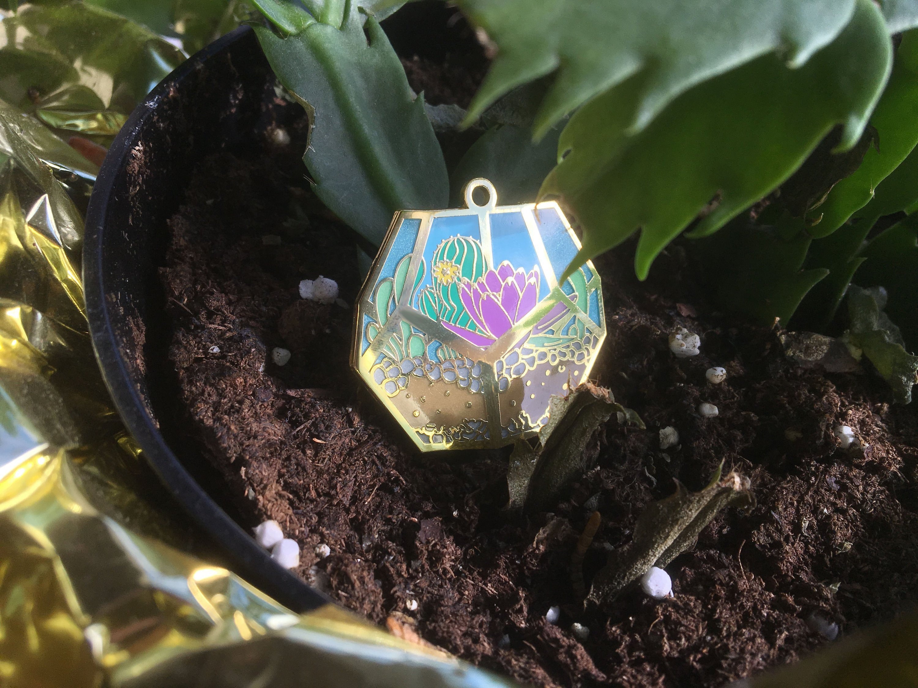 Terrarium Enamel Pin - Etsy