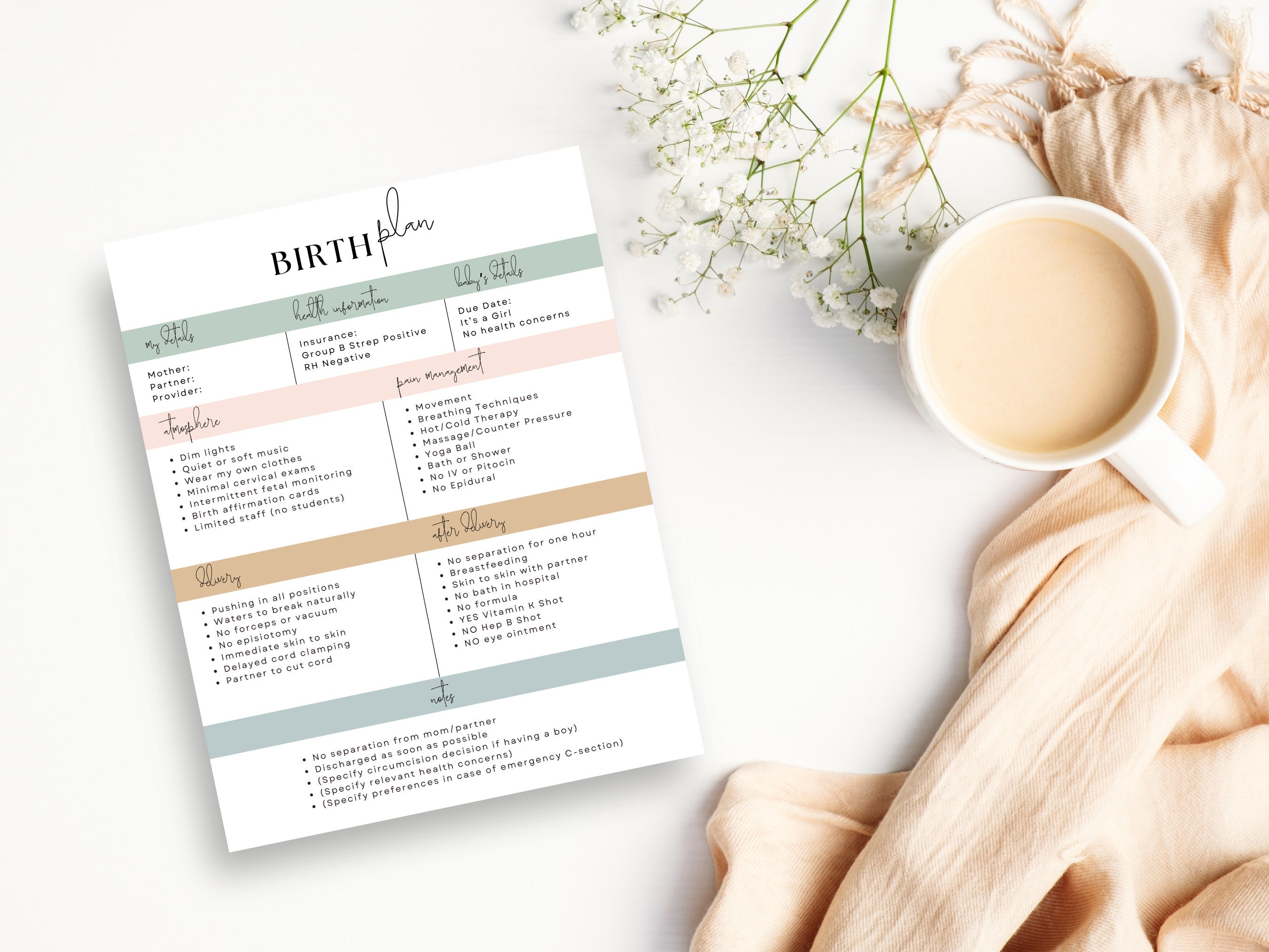 Birth Plan Template | Minimalist Editable Birth Preferences on Canva ...