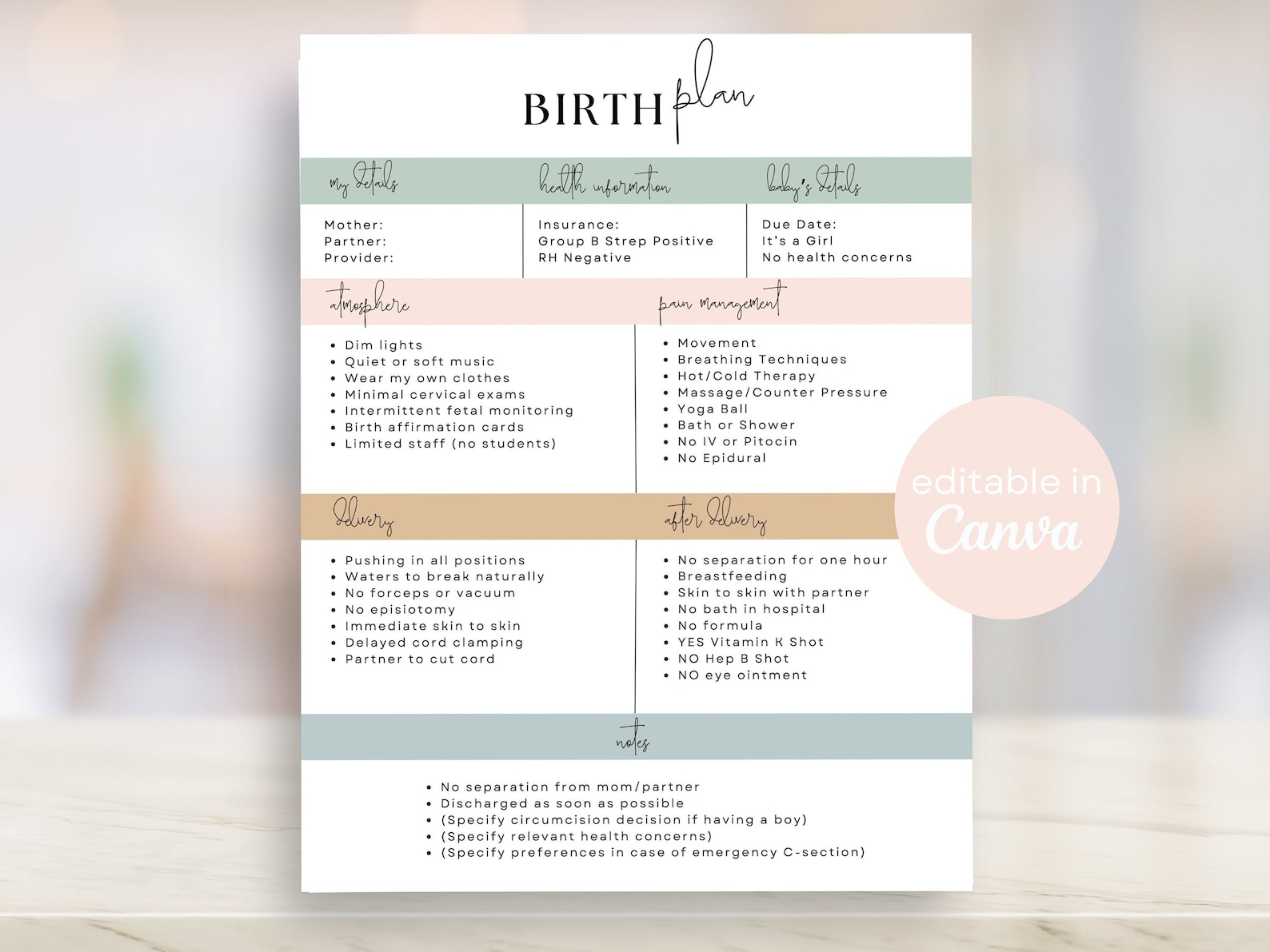 Birth Plan Template | Minimalist Editable Birth Preferences on Canva ...