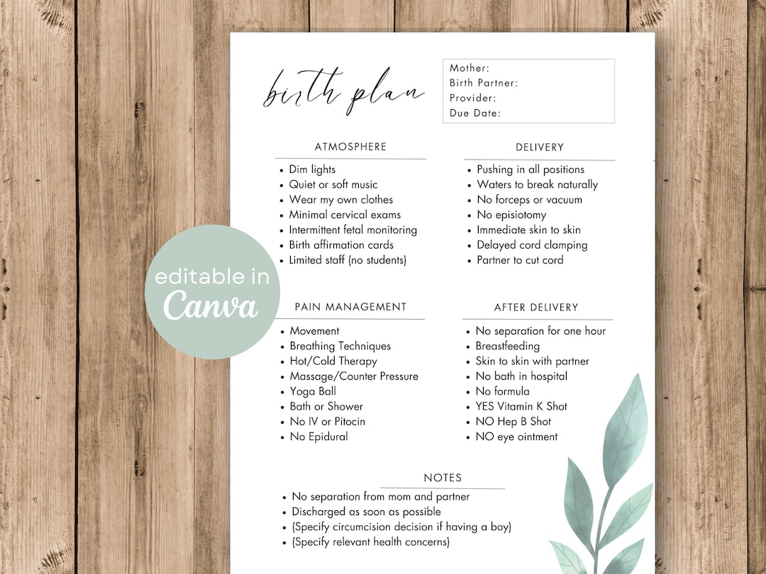 Birth Plan Template | Editable Birth Preferences on Canva Printable ...
