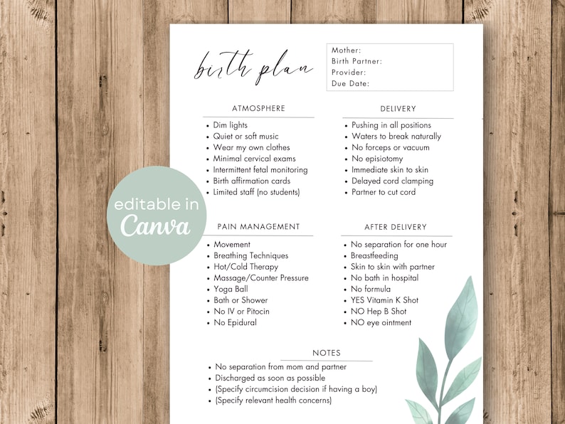 Birth Plan Template | Editable Birth Preferences on Canva Printable ...