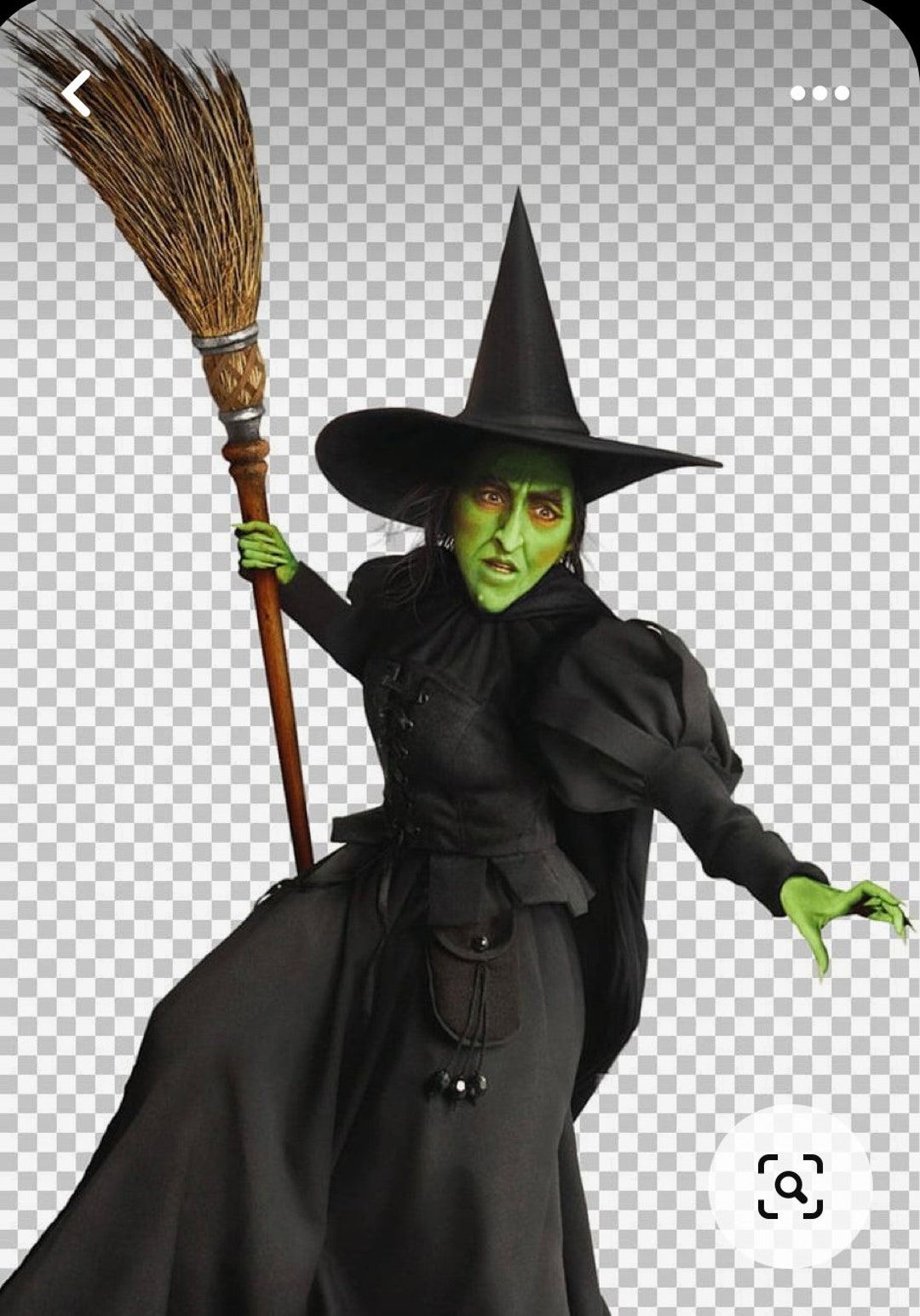 EVIL WITCH DRESS Inspired by Wizard of Oz Adults - Etsy