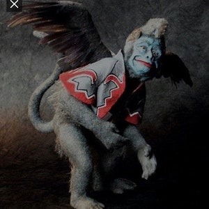 Flying Monkey Kids - Etsy