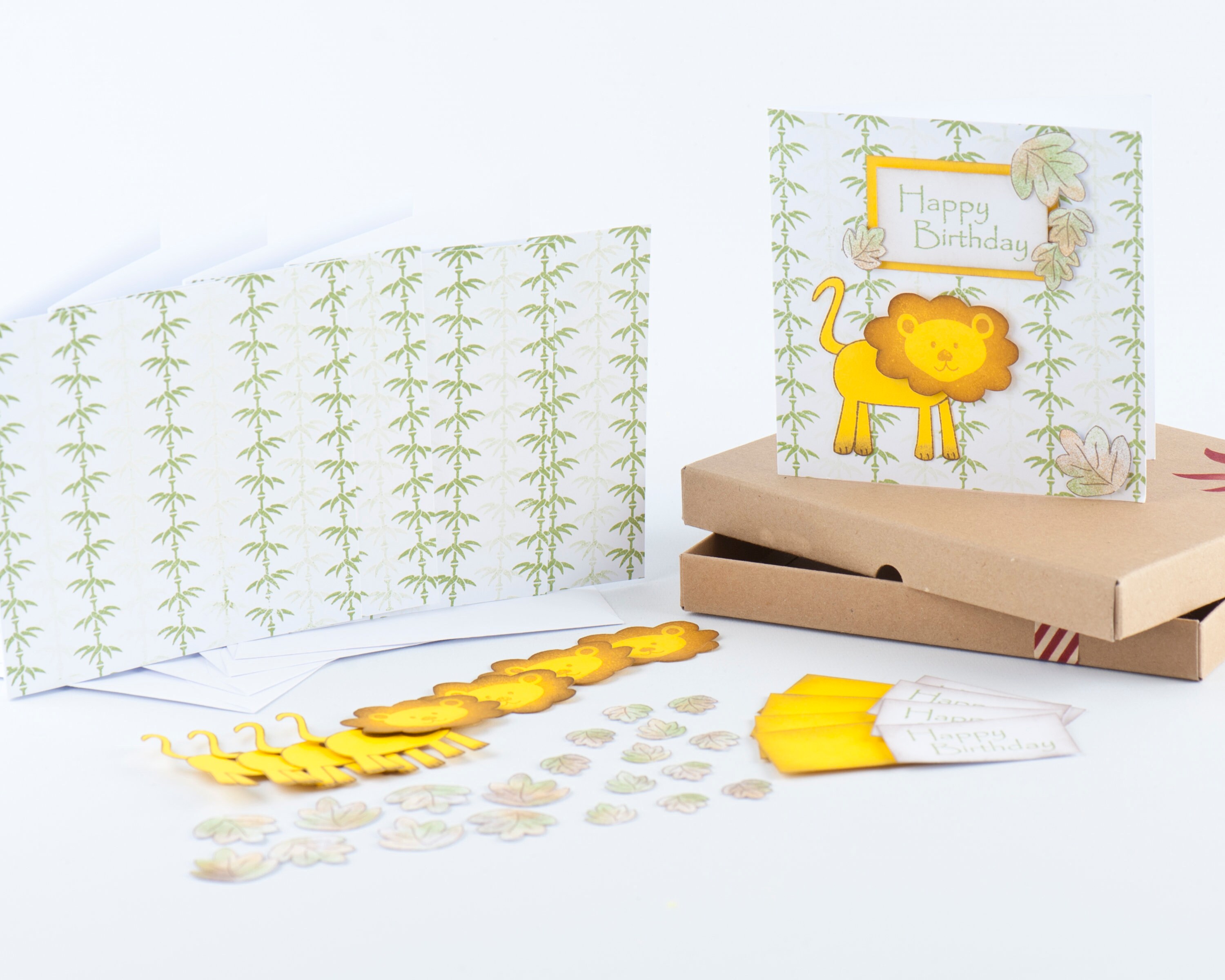 Jungle Theme Birthday Card Kit, Card Making Kit, Beginner's Craft Kit ...