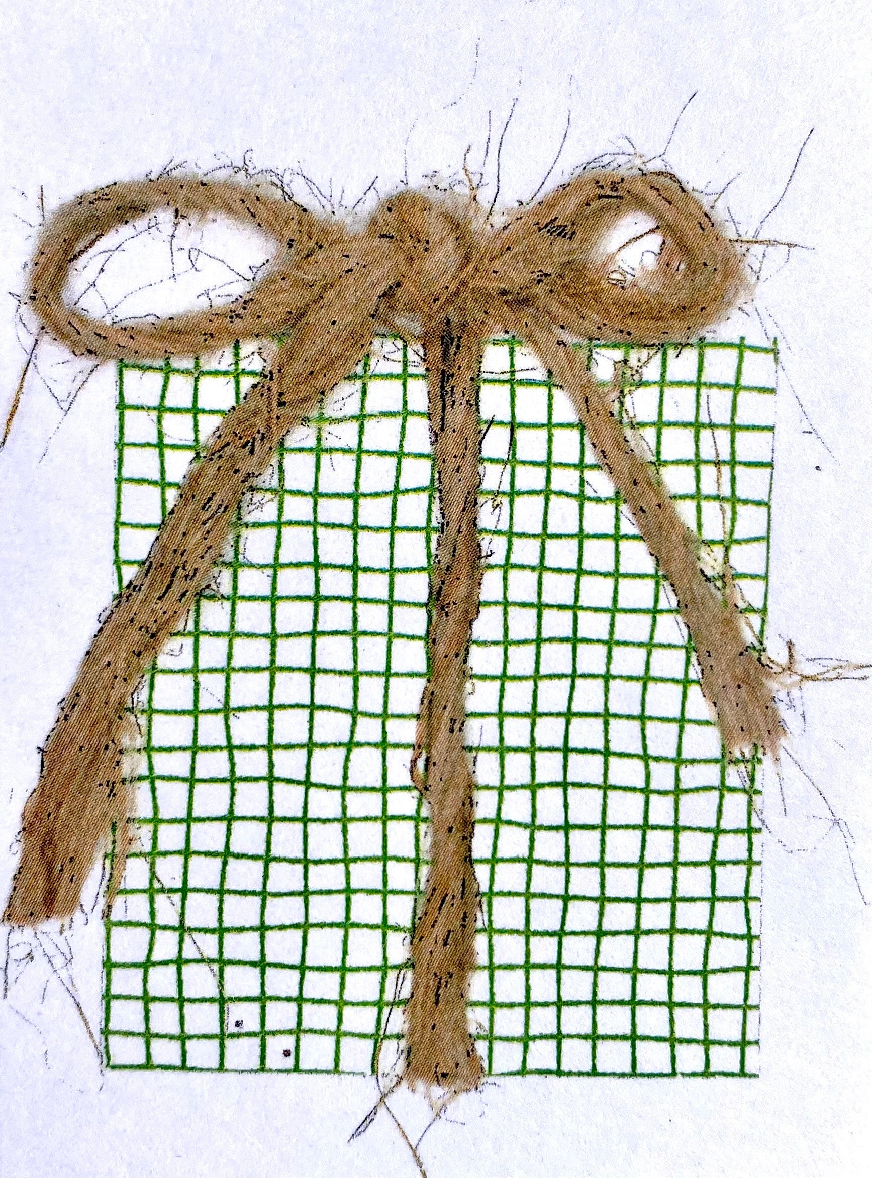 Note Cards/set of Ten - Etsy