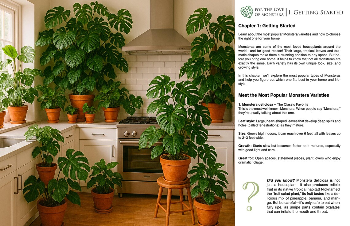 Monstera Plant Care Guide: Propagation, Watering & Styling (PDF ...