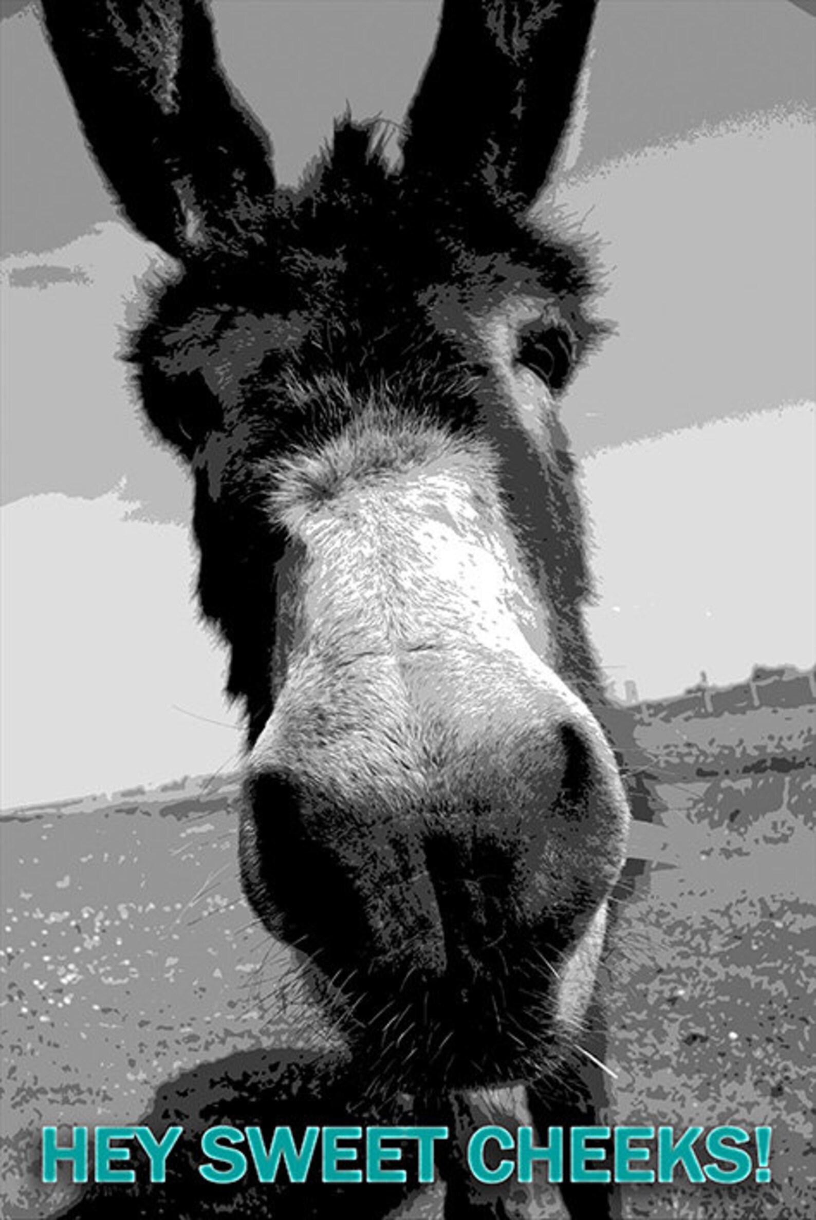 Funny Cheeky HEY SWEET CHEEKS Canvas Print Picture Wall Art - Etsy UK